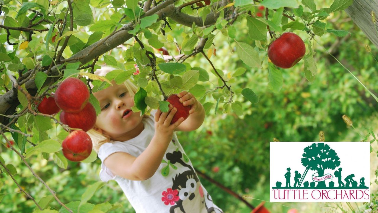 10 Indianapolis Area Apple Orchards for U-Pick and Fall Fun