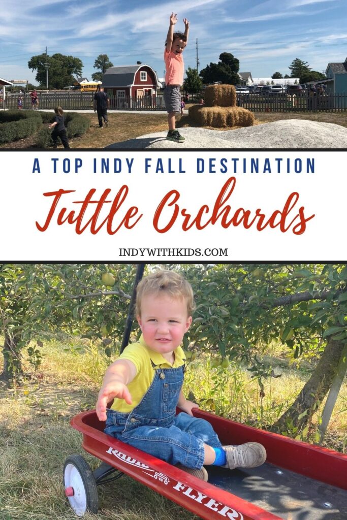 Tuttle Orchards | Spend a Gorgeous Fall Day at the Farm - Indy with Kids