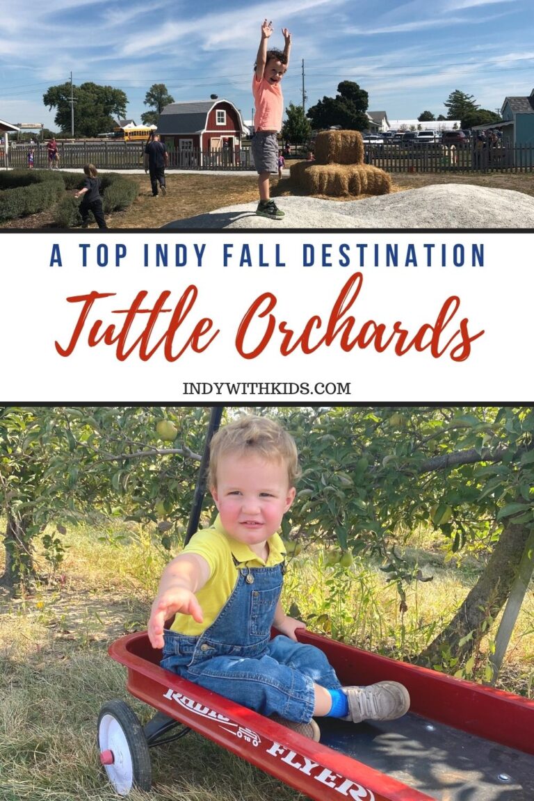 Tuttle Orchards | Spend a Gorgeous Fall Day at the Farm - Indy with Kids