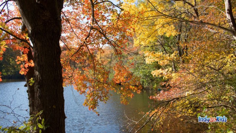 The Ultimate List of Fall Festivals in Indiana | Indianapolis and Beyond