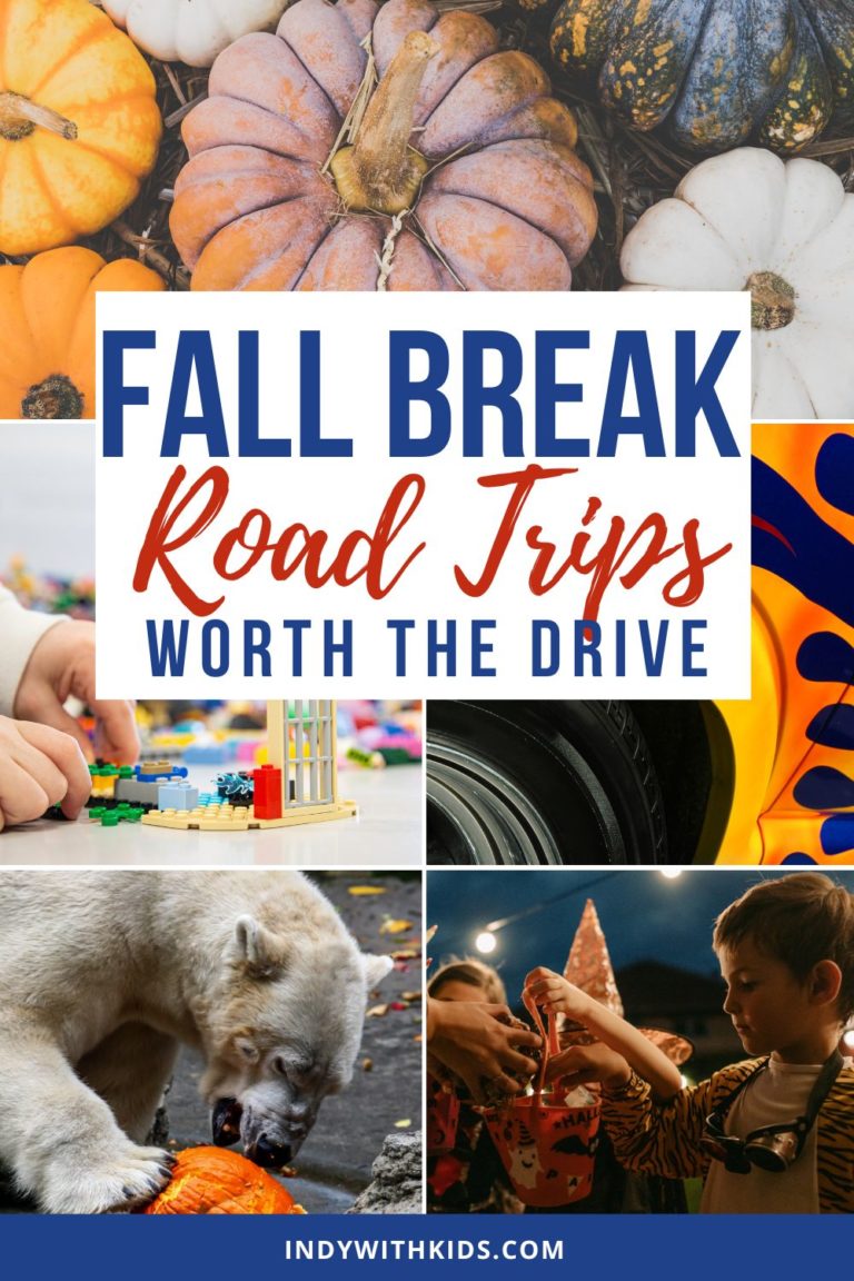 20+ Midwest Fall Break Trips for Families Worth the Drive