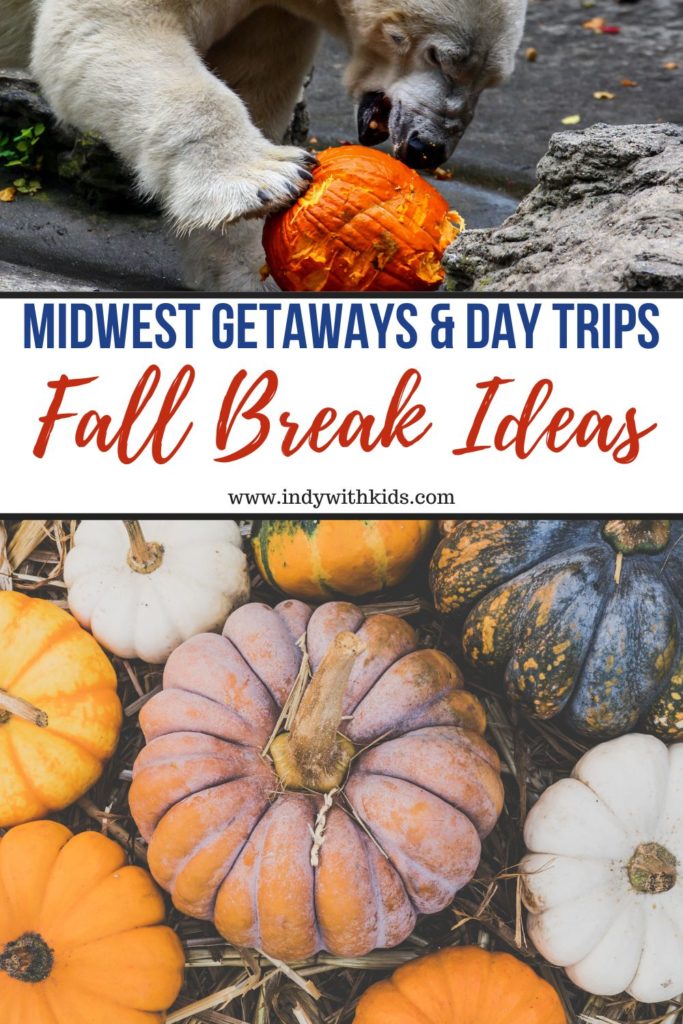 20+ Midwest Fall Break Trips for Families Worth the Drive