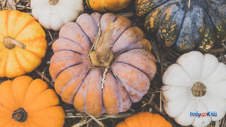 20+ Midwest Fall Break Trips for Families Worth the Drive