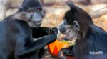 20+ Midwest Fall Break Trips for Families Worth the Drive