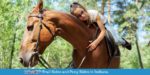 Where to Go Horseback Riding with Kids Around Indianapolis