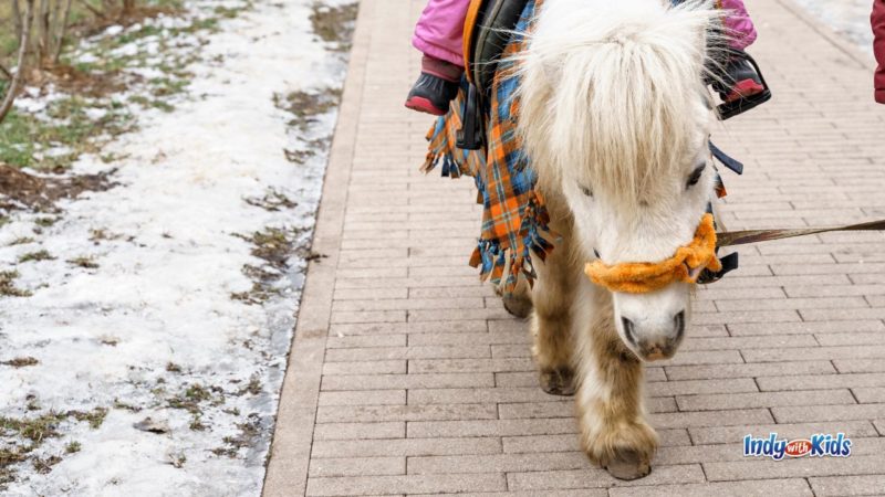 Where to Go Horseback Riding with Kids Around Indianapolis