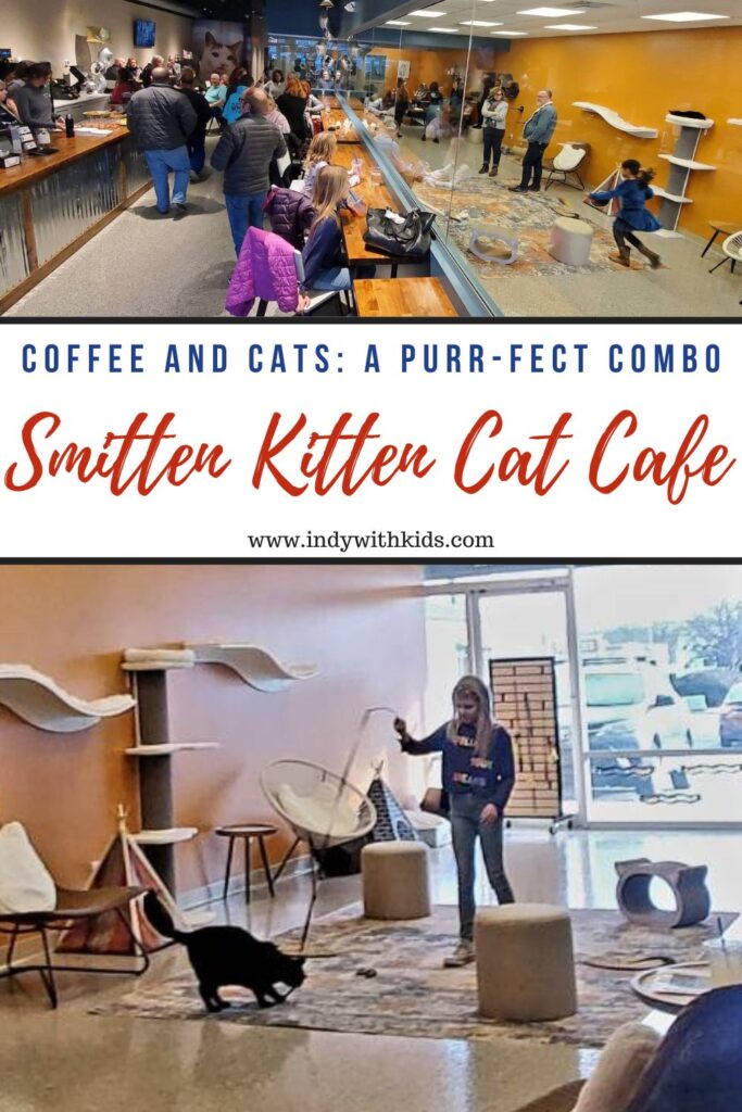 Smitten Kitten Cat Cafe - Indy with Kids