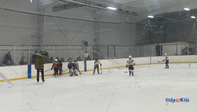 Ice Barn Indy - Indy with Kids