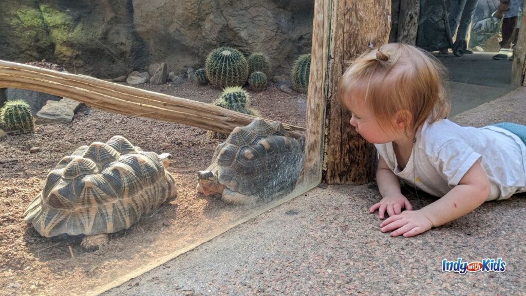 The Indianapolis Zoo | Plan a Wild Day at This Essential Indy ...