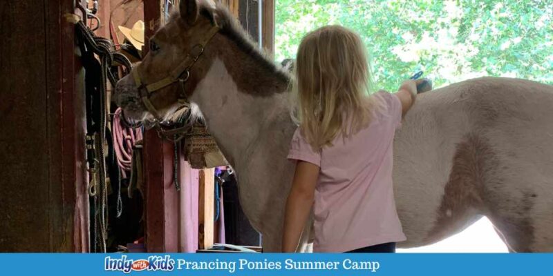 Prancing Ponies Summer Camps