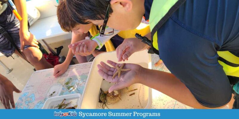 Sycamore Summer Programs – Where You Become Your Future You!