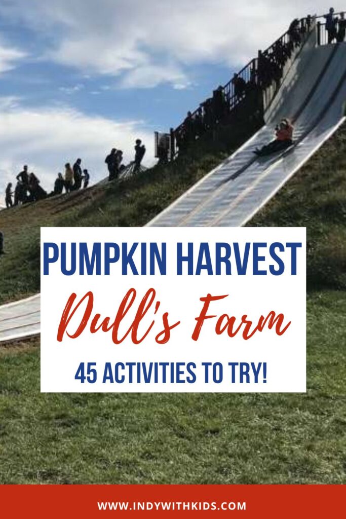 Dull's Tree Farm and Pumpkin Harvest 2025 | A Fall Fun Family Favorite ...