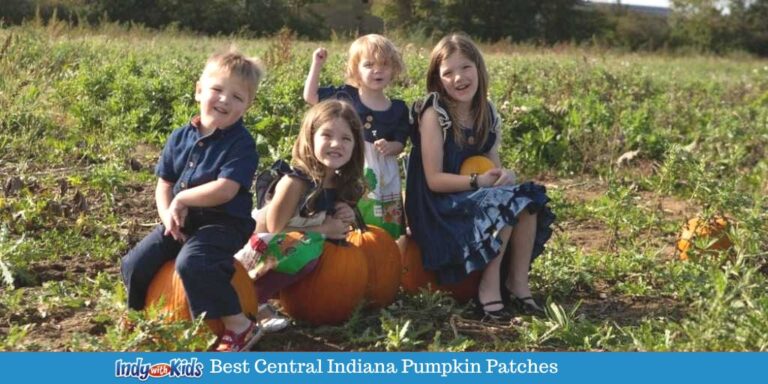 Indiana Pumpkin Patches Near Indianapolis: Best Fall Family Farms ...