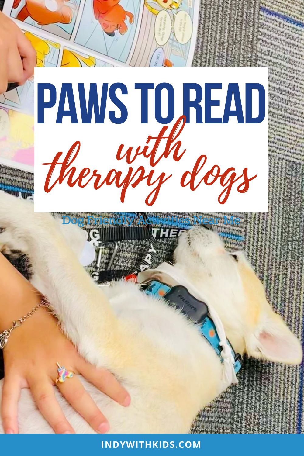 "Paws to Read" with Adorable Therapy Dogs at Indy Libraries & Bookstores