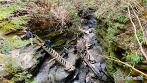 Turkey Run State Park's 11 Breathtaking Hiking Trails