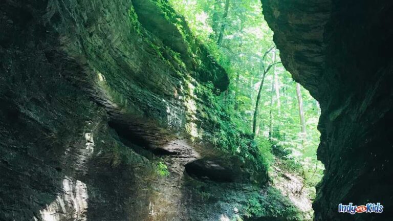 Turkey Run State Park's 11 Breathtaking Hiking Trails