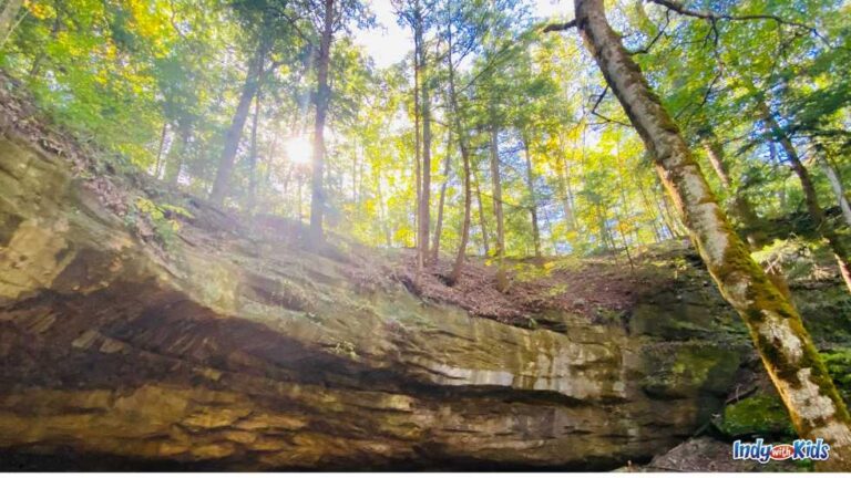 Turkey Run State Park's 11 Breathtaking Hiking Trails