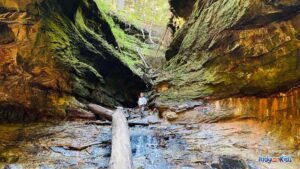 Turkey Run State Park's 11 Breathtaking Hiking Trails