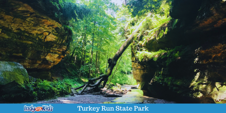 Turkey Run State Park's 11 Breathtaking Hiking Trails