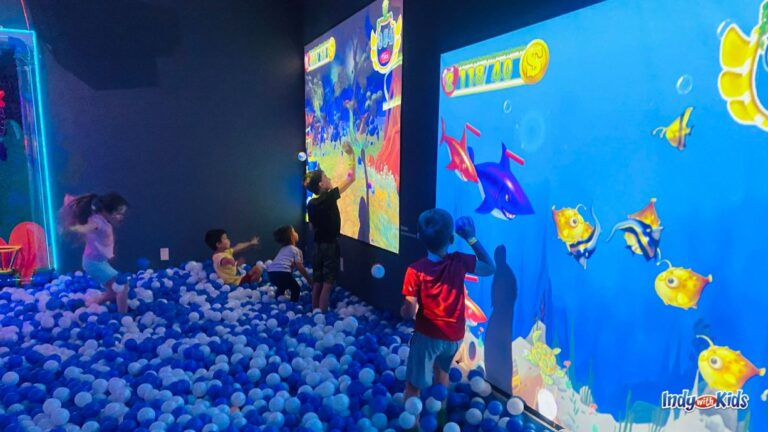 Smiley Indoor Playground & Arcade | An Epic Day of Indoor Fun - Indy ...