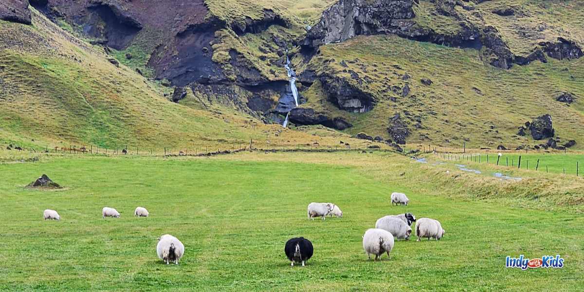 Things to Do in Iceland with Kids | A Family Itinerary For Iceland