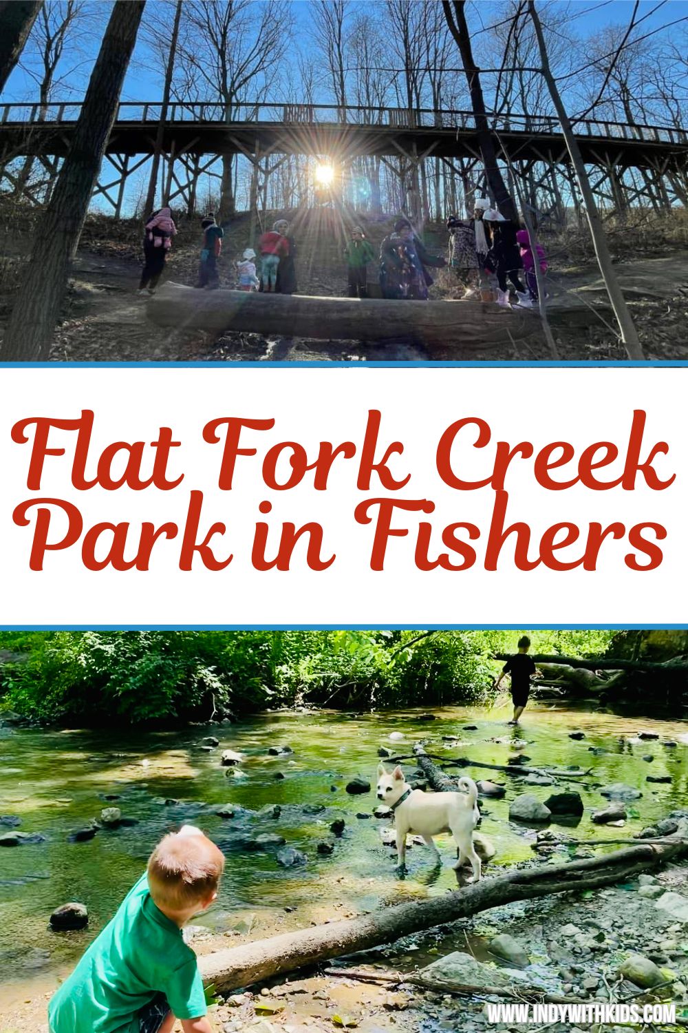 Flat Fork Creek Park for Adventure Seekers | Spectacular Tree Houses ...