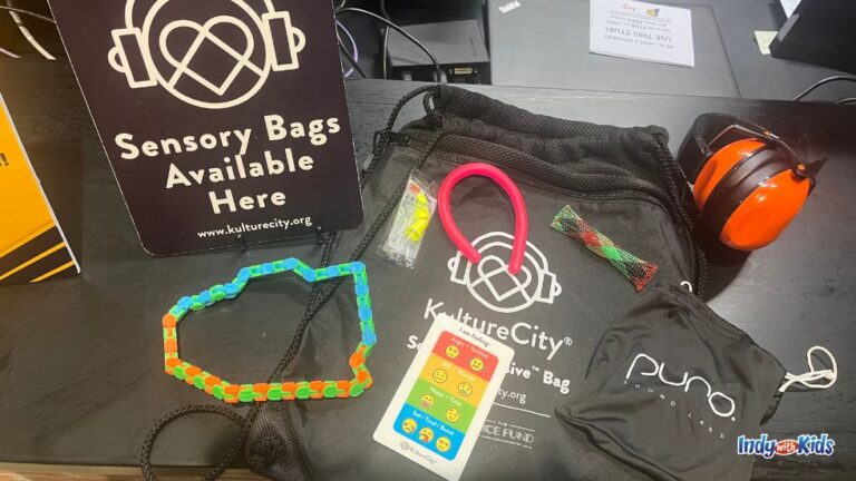 Experience the Excitement of an Indiana Fever Game Day