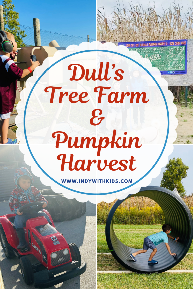 Dull's Tree Farm and Pumpkin Harvest 2025 | A Fall Fun Family Favorite ...