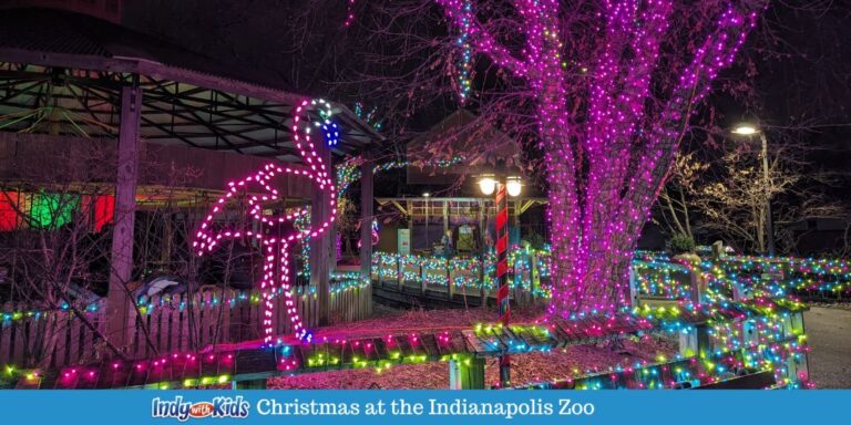 Indianapolis Christmas at the Zoo | Celebrate with Sparkly Lights and ...