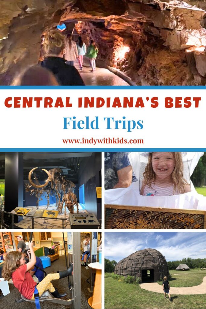 Top 30 Field Trips for Homeschoolers and Families Who Love to Learn