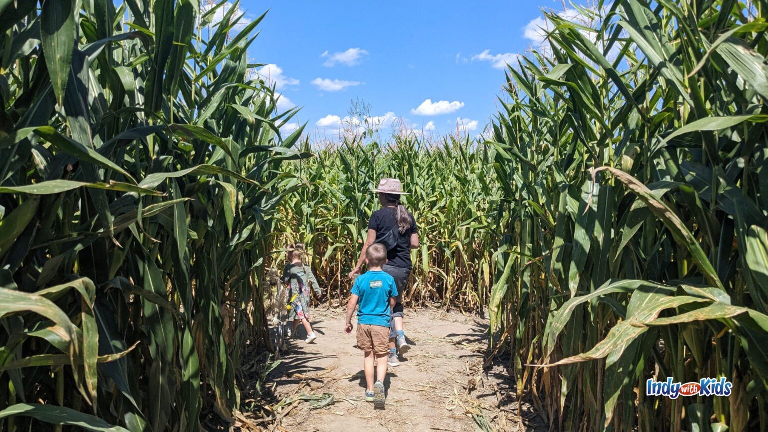 Indianapolis Area Corn Mazes | Indiana Corn Maze Near Me